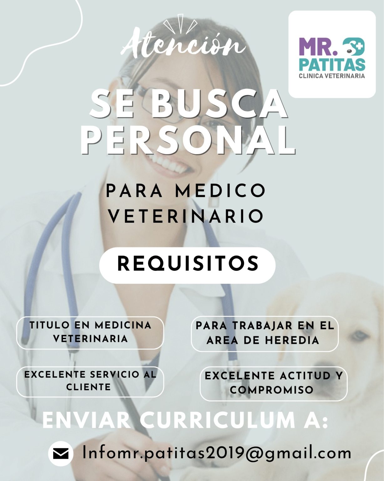 Escuela de Veterinaria San Francisco de Asís | Plaza Médico Veterinario Clínica Mr Patitas